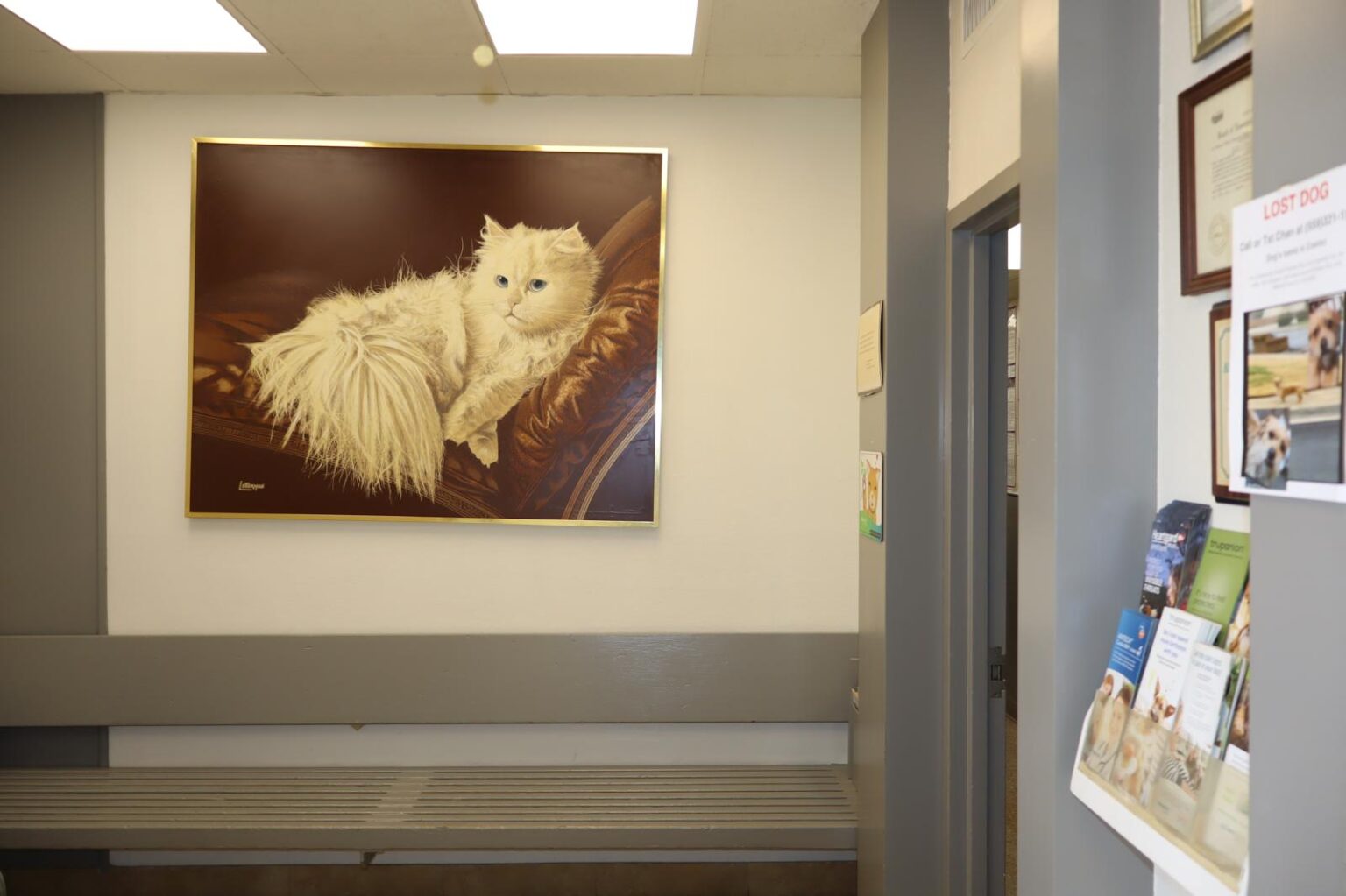 About Alta Animal Hospital | Trusted Clovis Vet Since 1978
